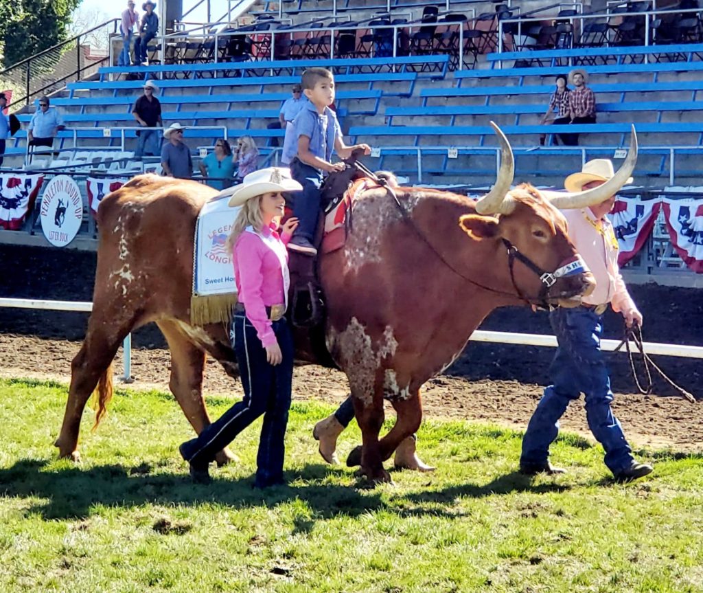 The Oregon Queen — October 2019 – Miss Rodeo Oregon